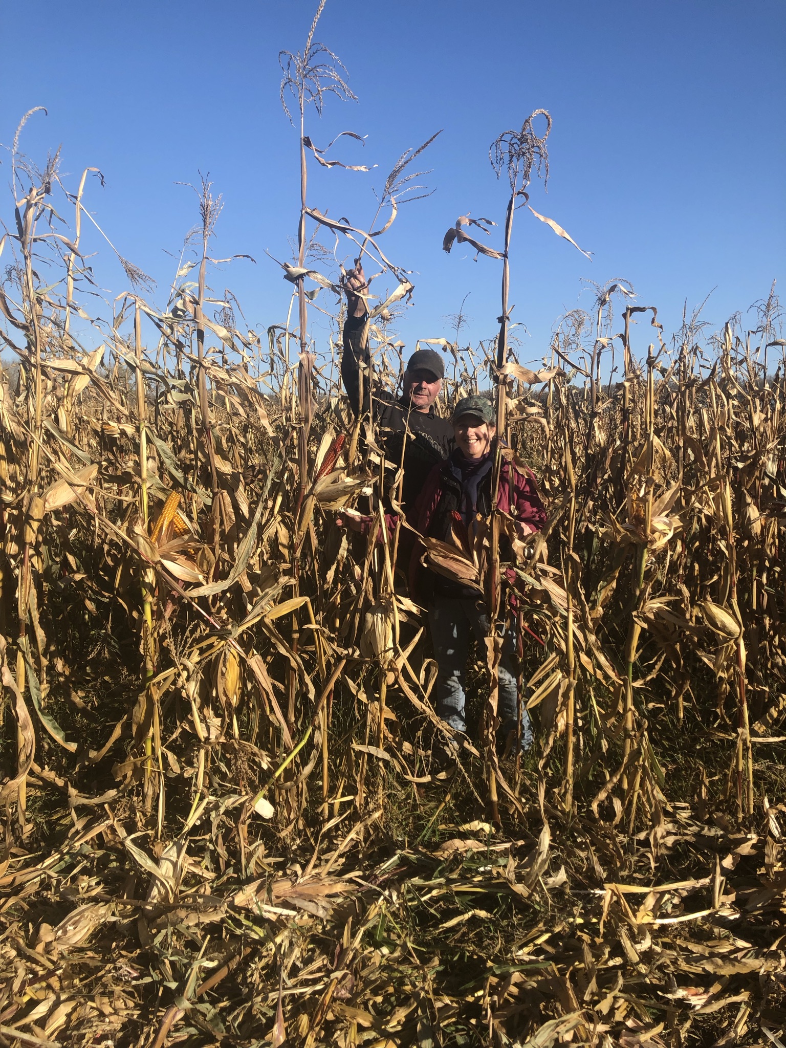 About Us | Catt Corn